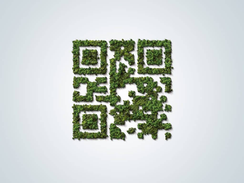 Packaging Trends for 2025: Sustainability Is Here to Stay - Fres-co ...